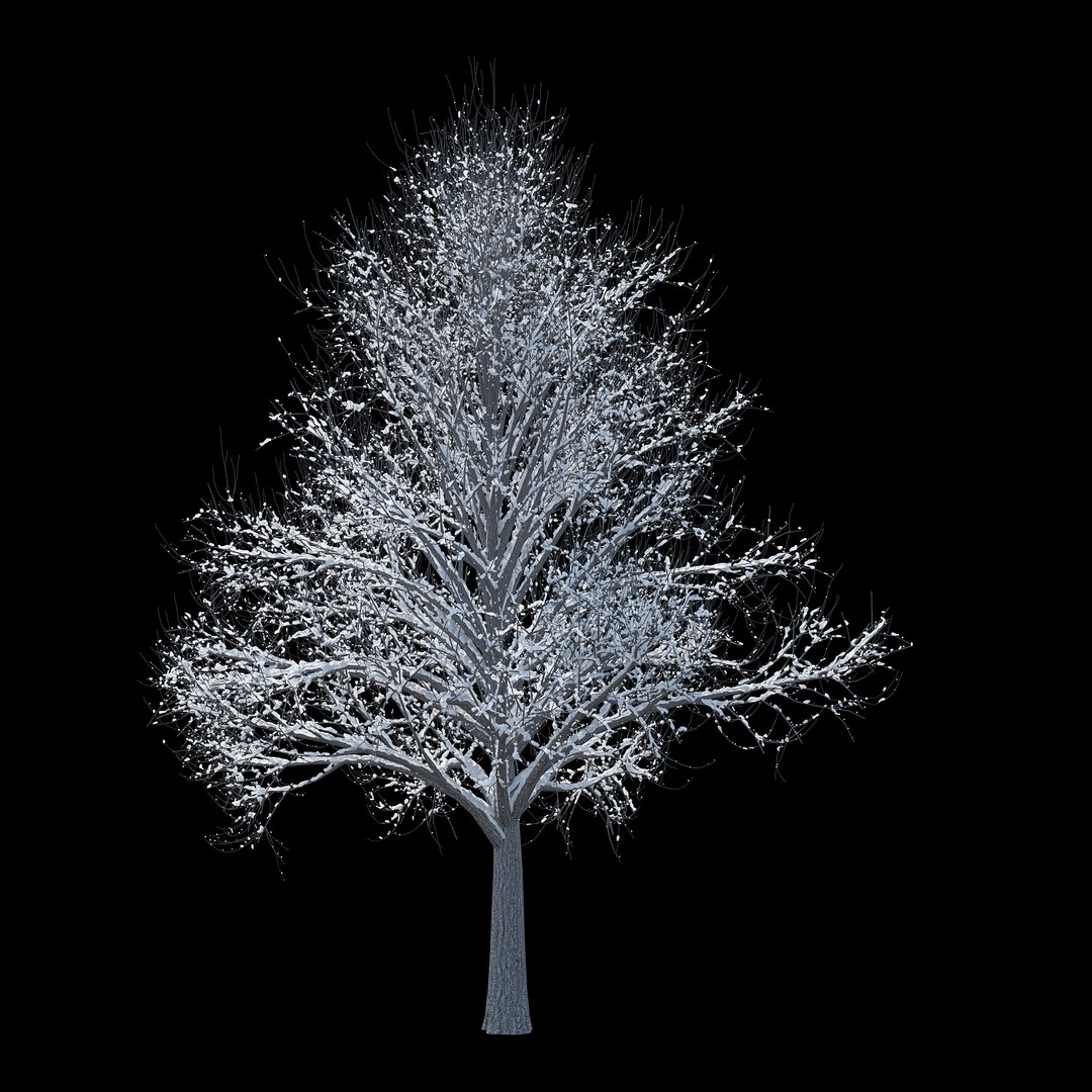 3D Winter Tree 01 Model - TurboSquid 1222162