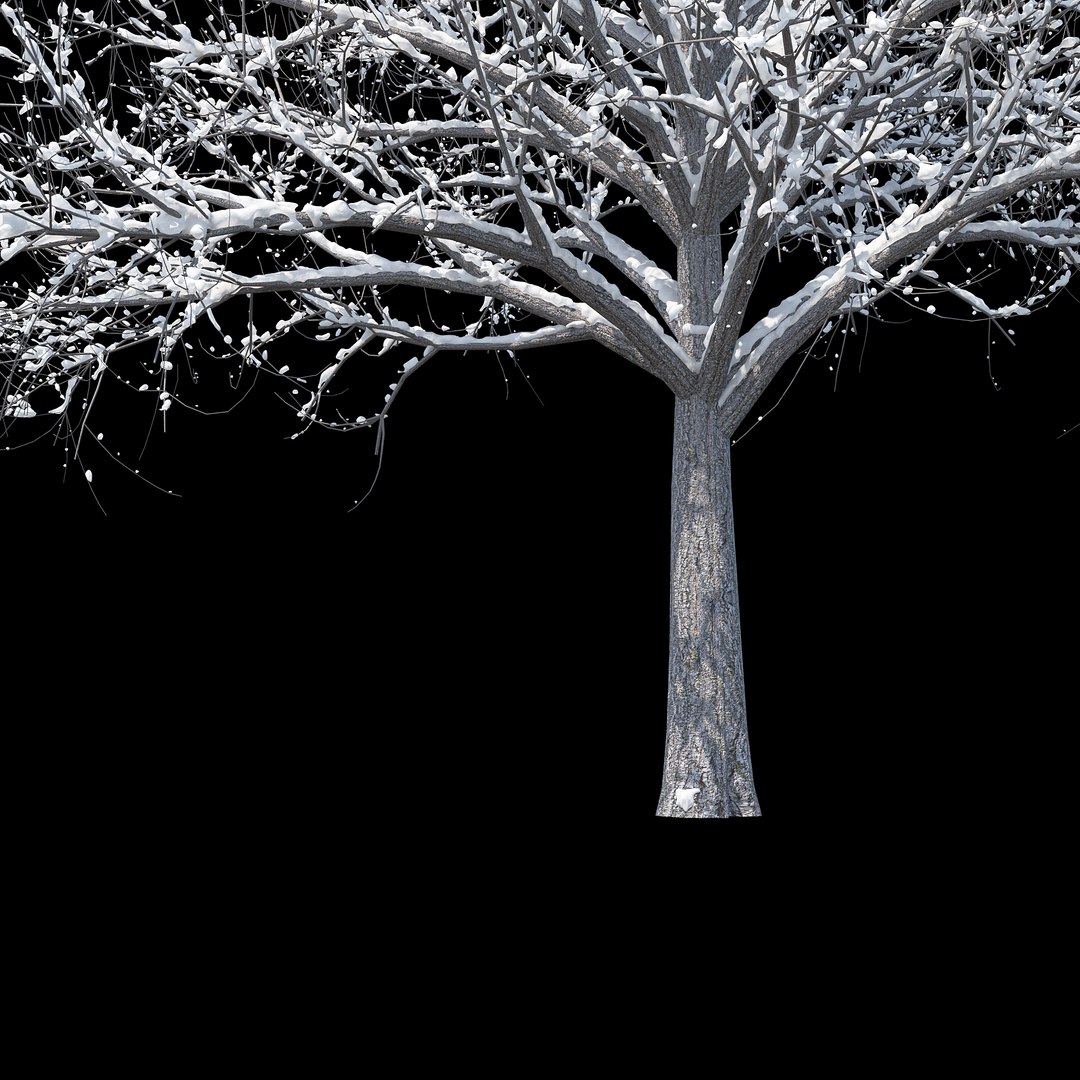 3D Winter Tree 01 Model - TurboSquid 1222162