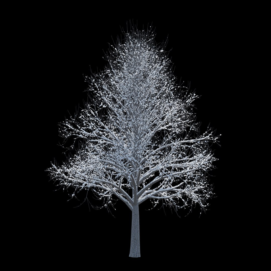 3D Winter Tree 01 Model - TurboSquid 1222162
