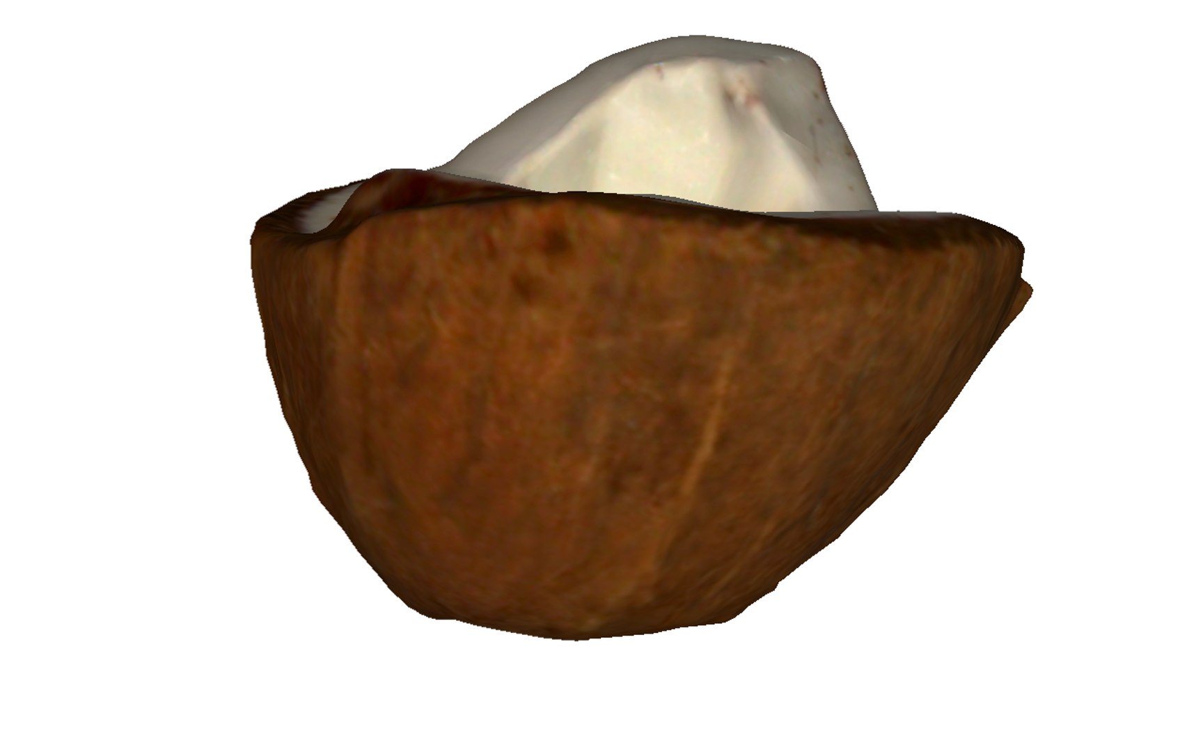 3D Half Coconut - TurboSquid 1635642