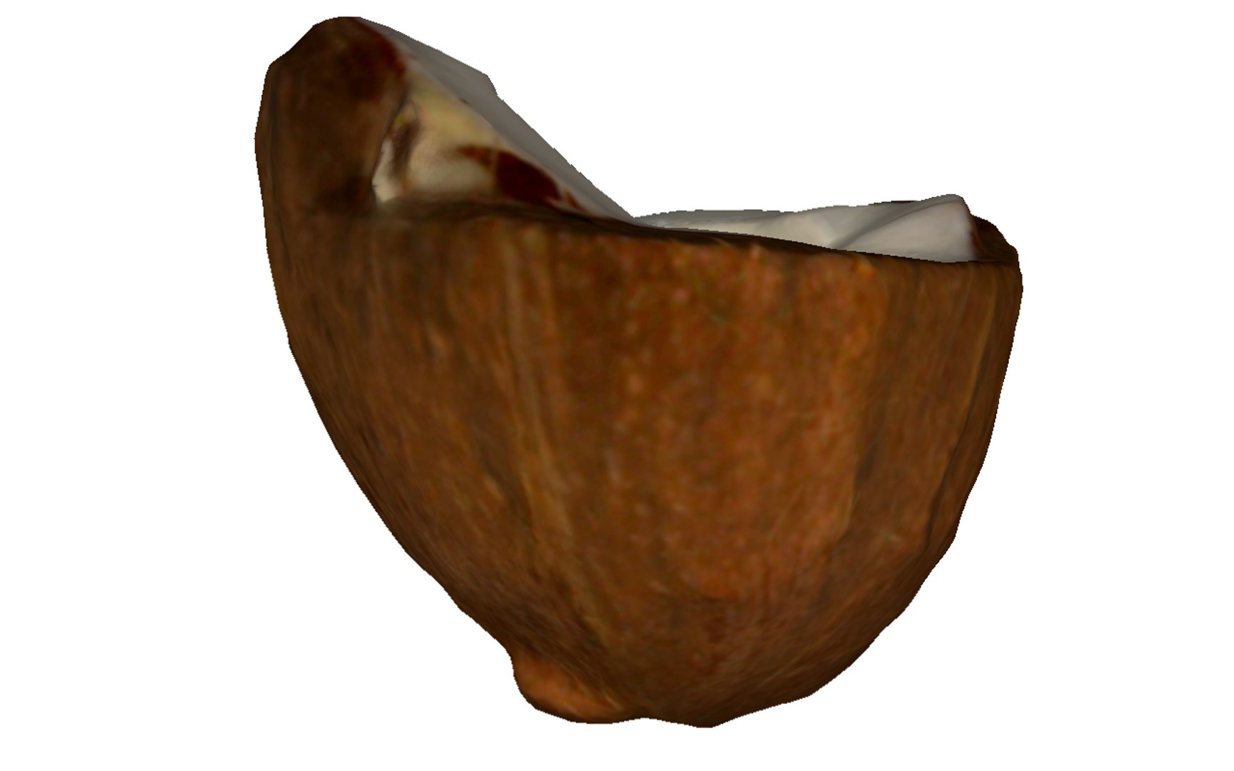 3D Half Coconut - TurboSquid 1635642