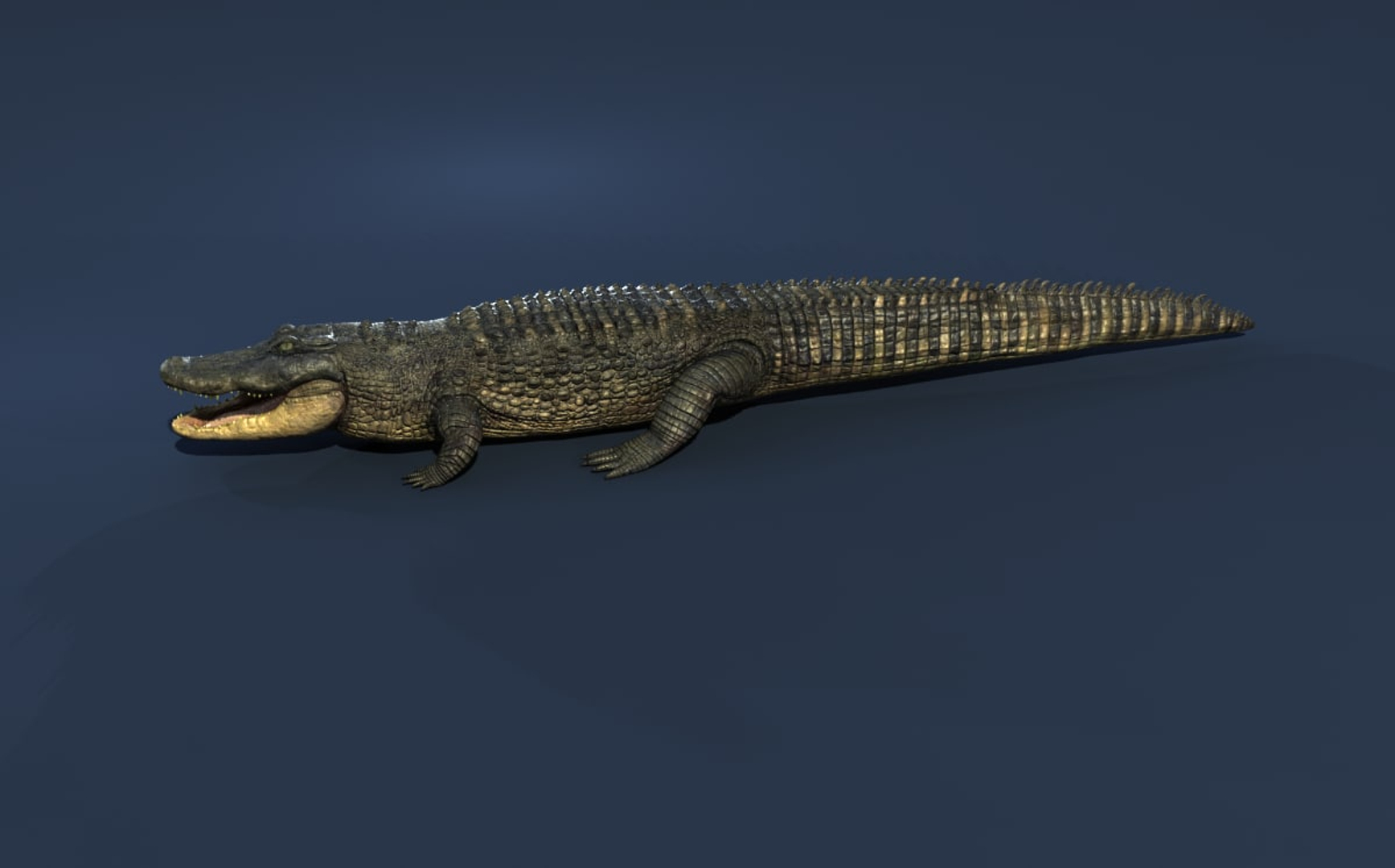 Alligator Rigged Max