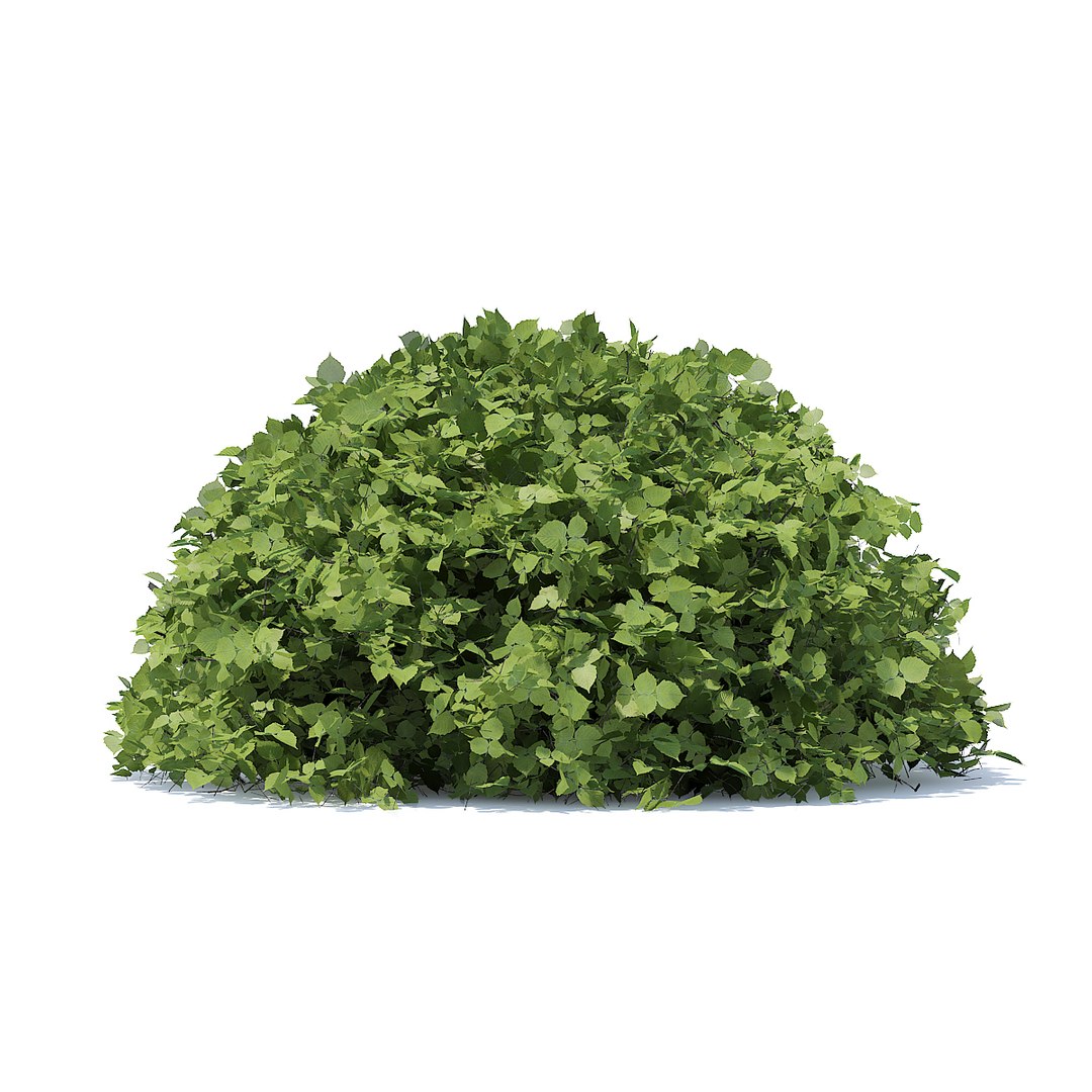 Half-sphere hedge 3D model - TurboSquid 1220821