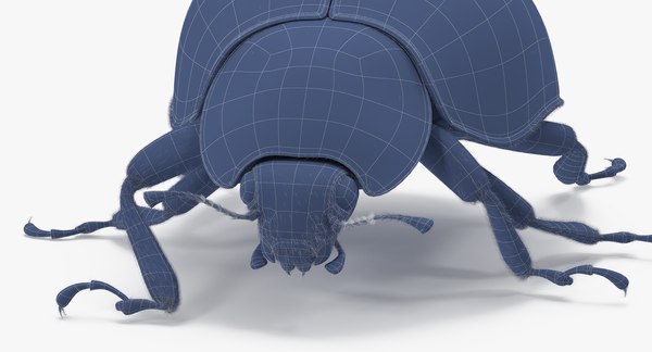 3d model ladybug lady bug