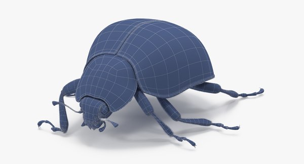3d model ladybug lady bug