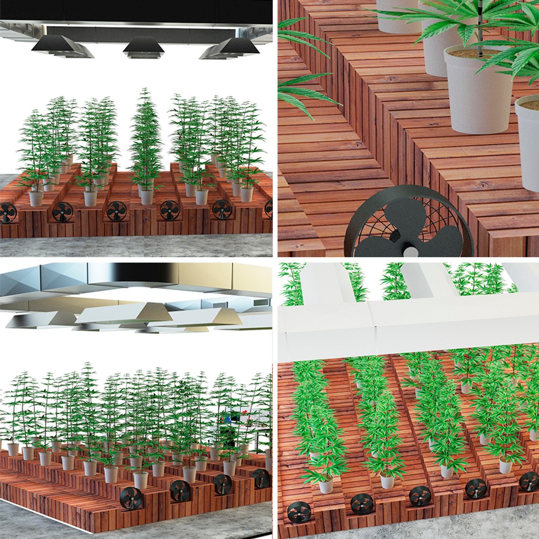 3D Laboratory Marijuana Set - TurboSquid 1168925