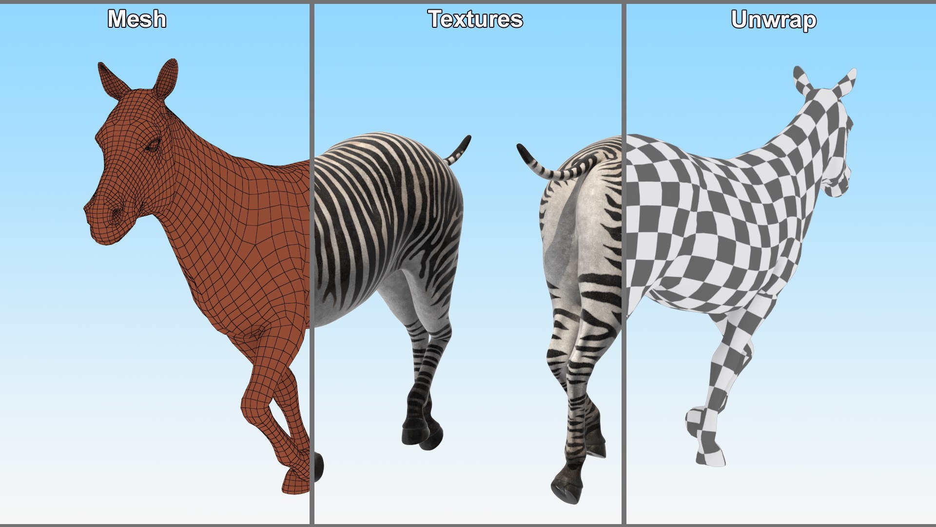 3D Striped Equine Running Model - TurboSquid 2368370