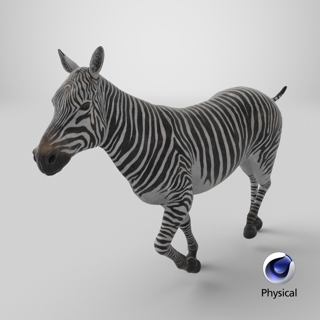 3D Striped Equine Running Model - TurboSquid 2368370