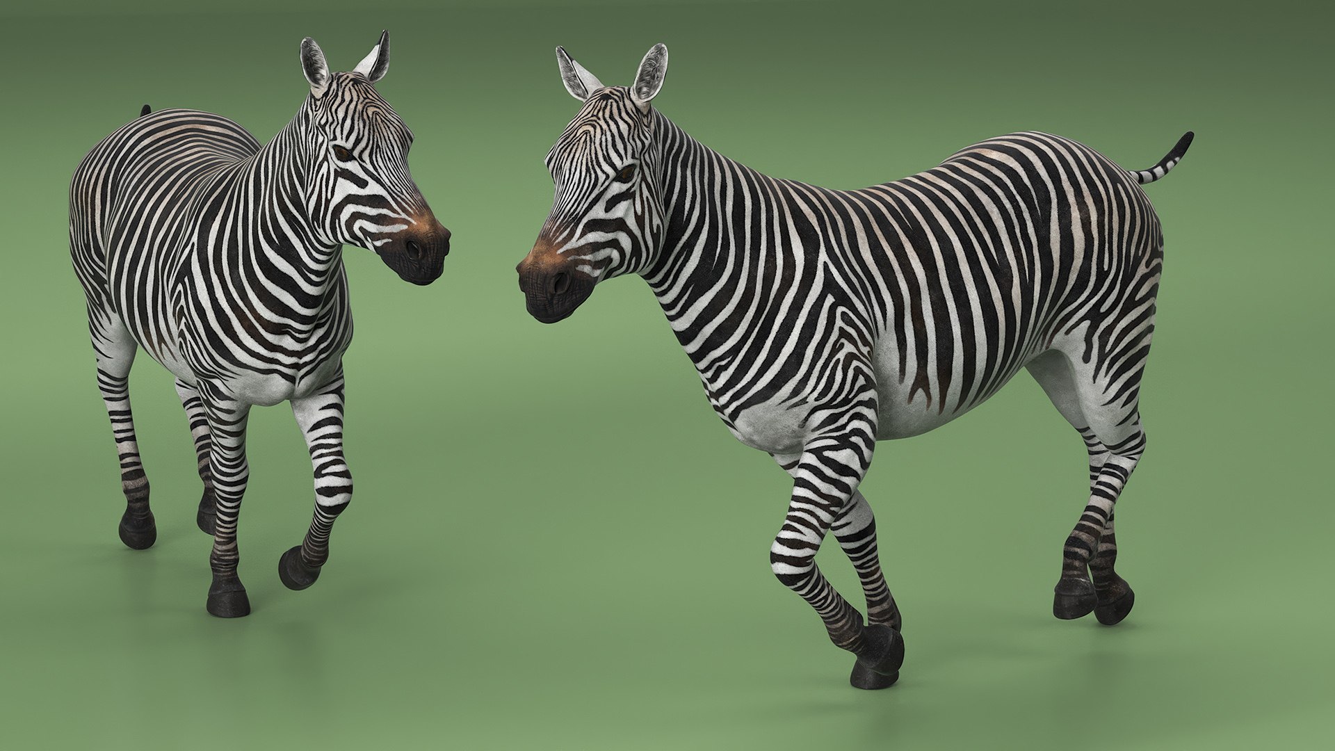 3D Striped Equine Running Model - TurboSquid 2368370
