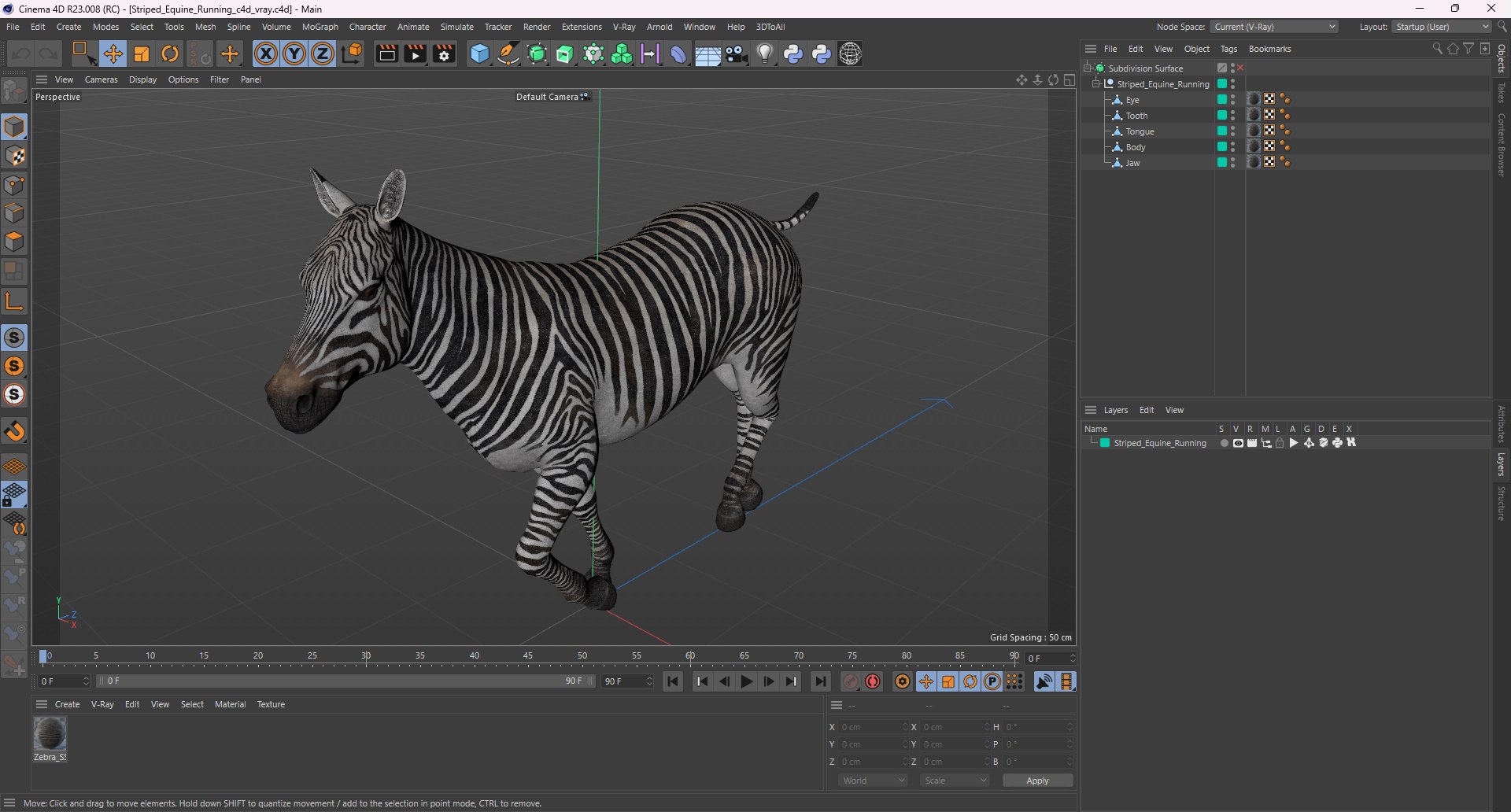 3D Striped Equine Running Model - TurboSquid 2368370