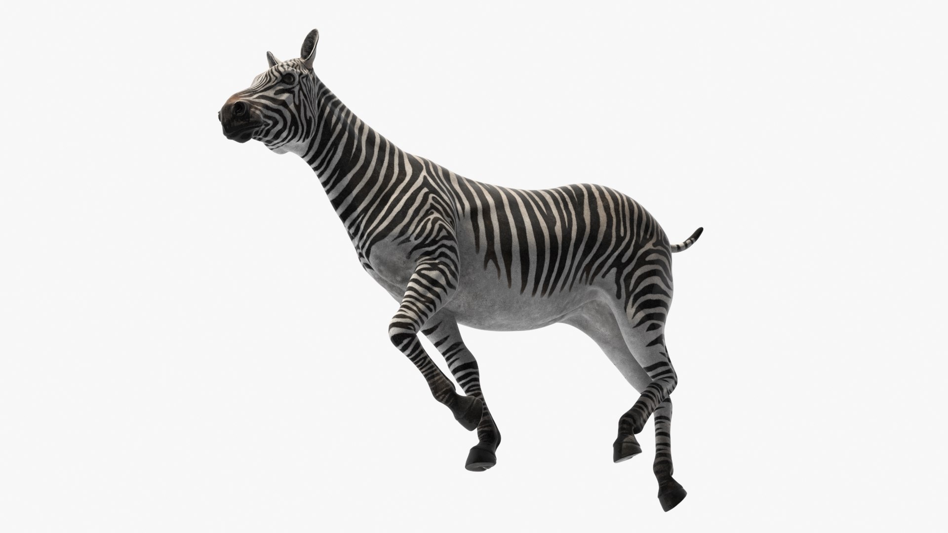 3D Striped Equine Running Model - TurboSquid 2368370