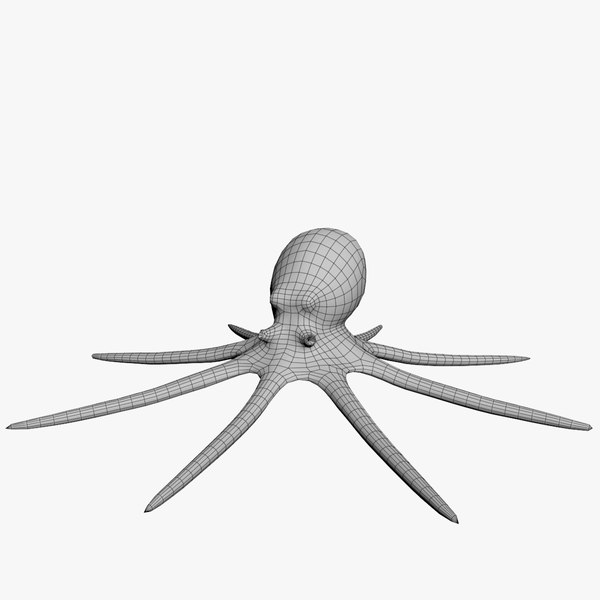 Blender Octopus Models | TurboSquid