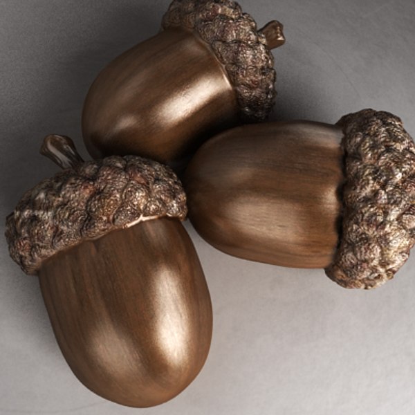 3dsmax oak nut