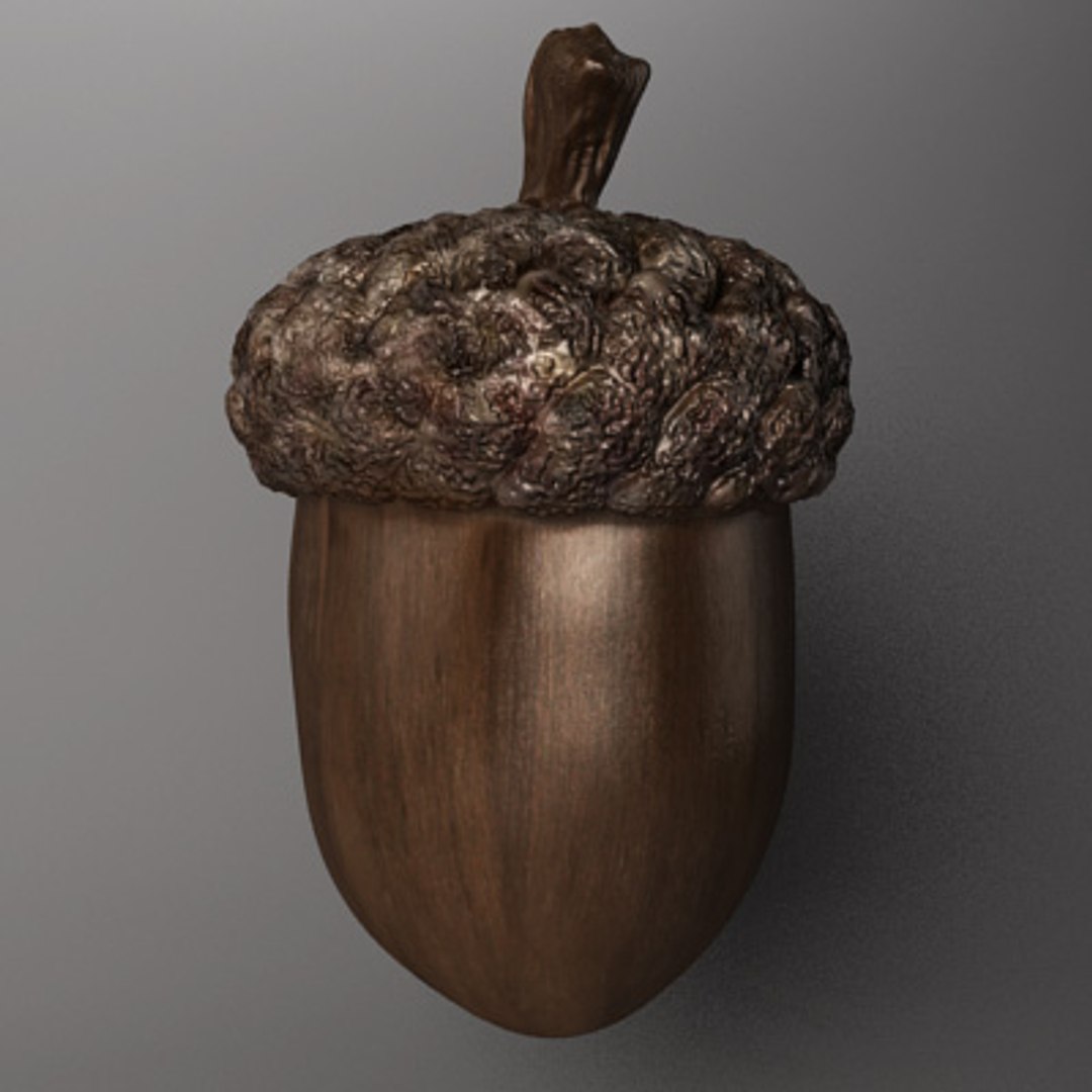 3dsmax Oak Nut