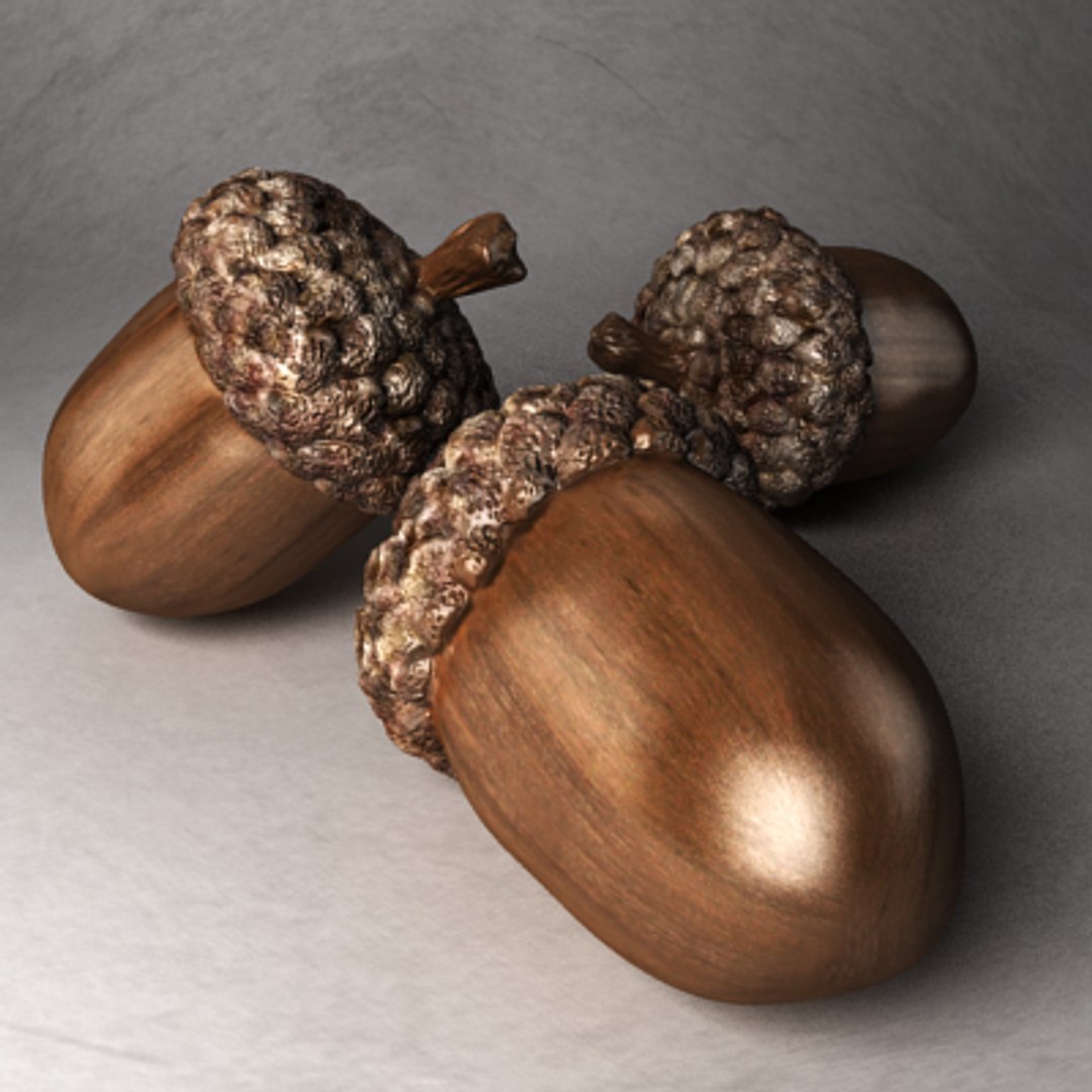 3dsmax Oak Nut