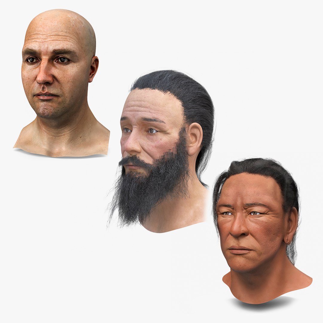 3D Man Heads Collection 2 Model - TurboSquid 2357057