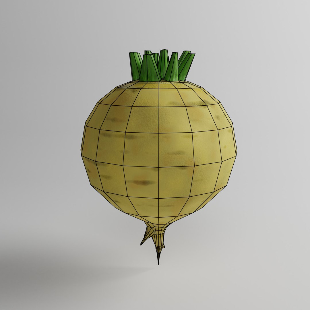 Turnip 3D Model - TurboSquid 1832607