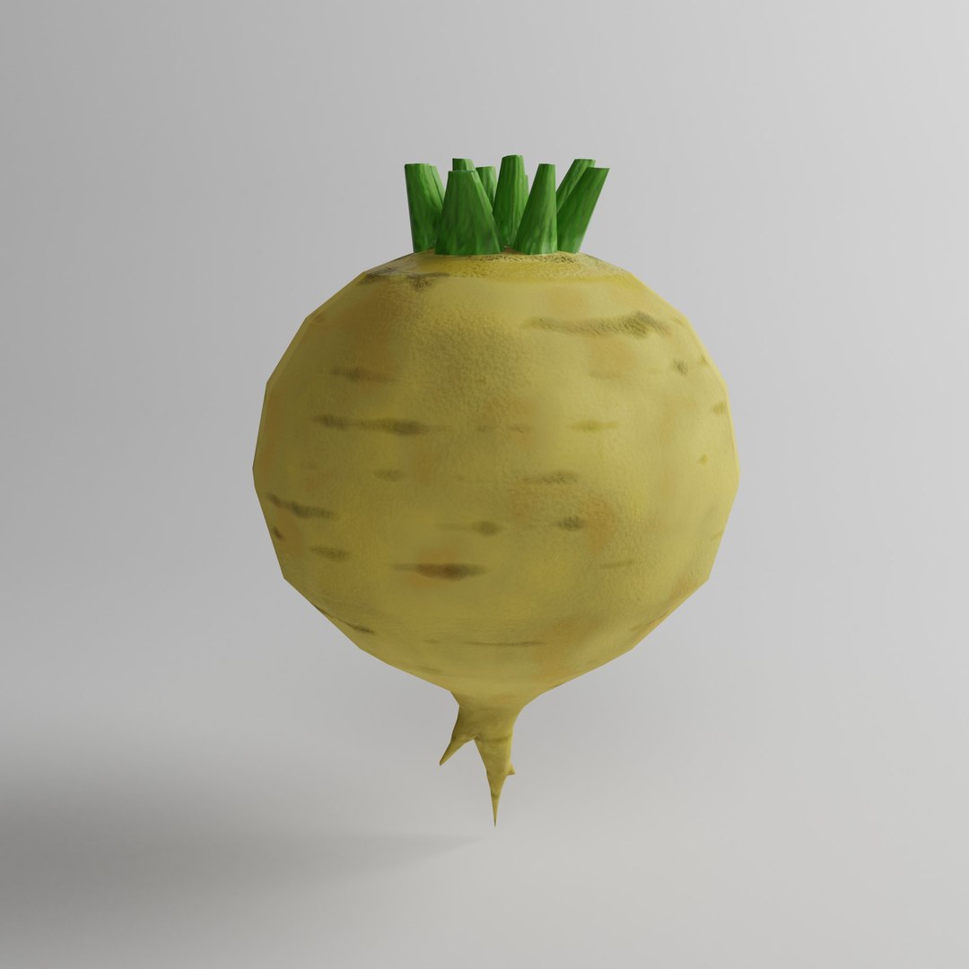Turnip 3D Model - TurboSquid 1832607