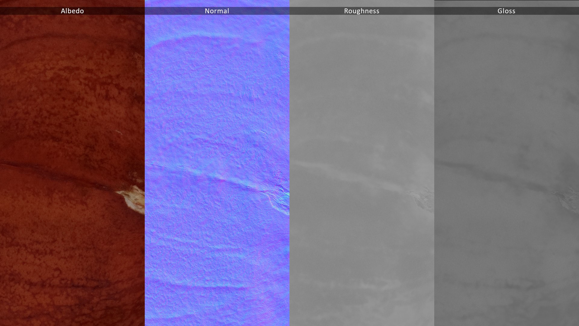 Peanut Kernel With Skin 3 Model - TurboSquid 2221572