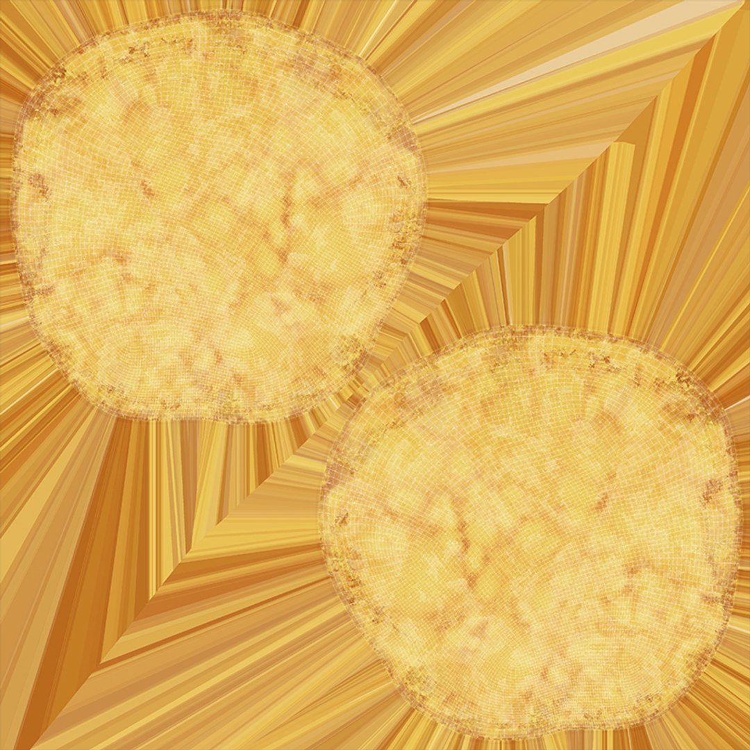 3D Potato Chips Collection - TurboSquid 2045615