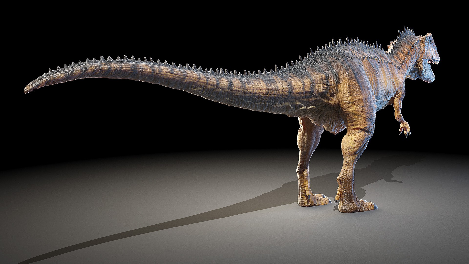 Carcharodontosaurus Carcharodon 3D - TurboSquid 1637307