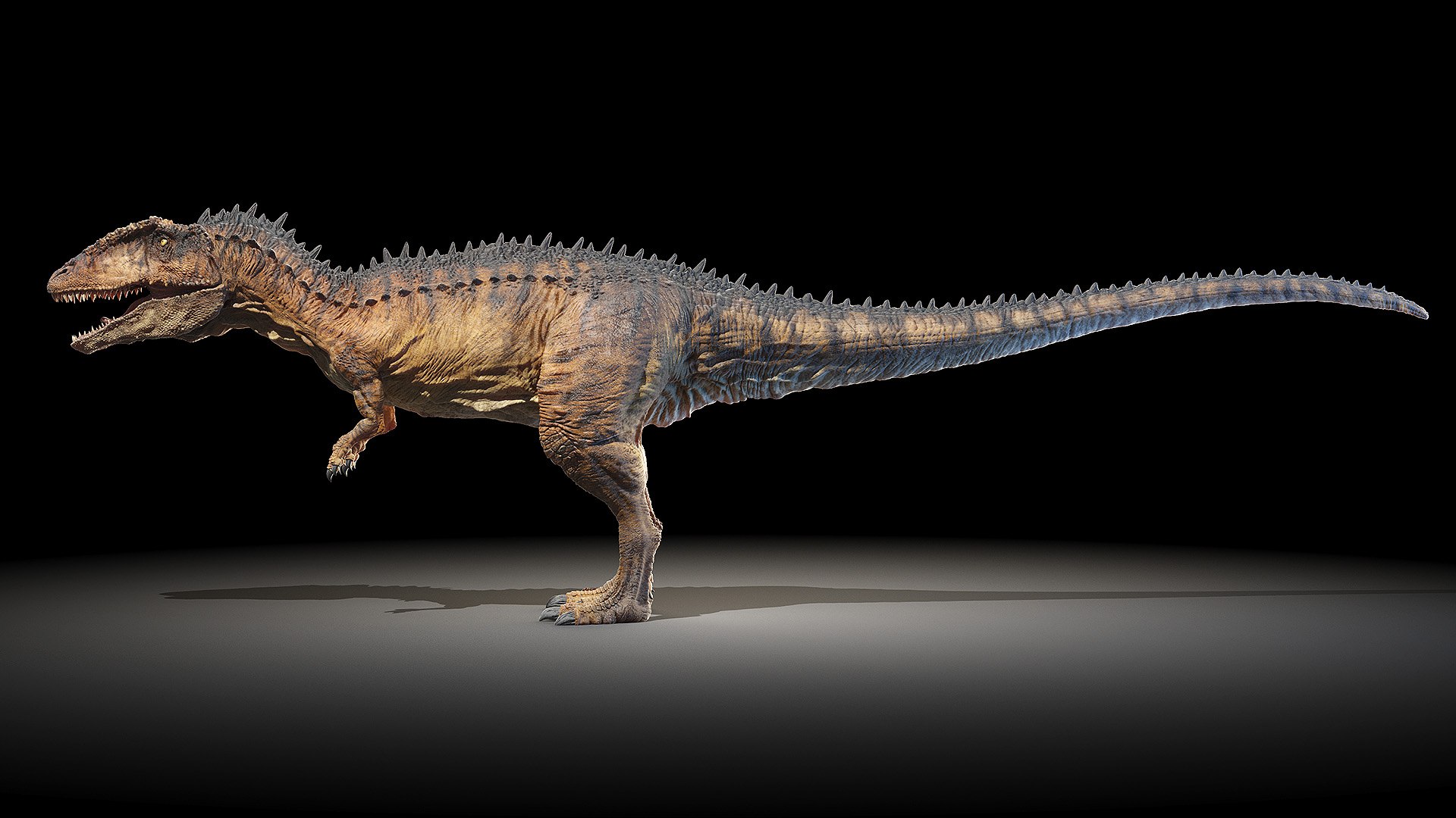 Carcharodontosaurus Carcharodon 3D - TurboSquid 1637307