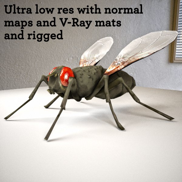 modèle 3D de Mouche domestique - TurboSquid 534320