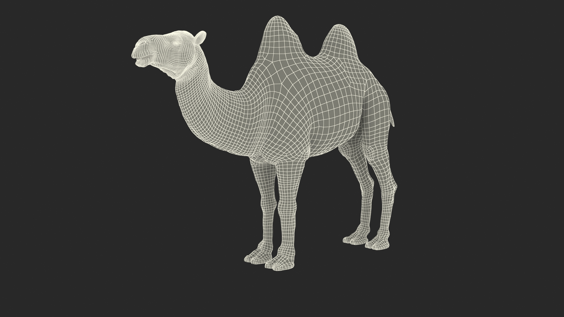 3D Bactrian Camel Rigged Model - TurboSquid 2273186
