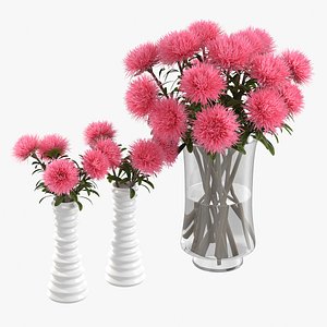 aster bush 3d model