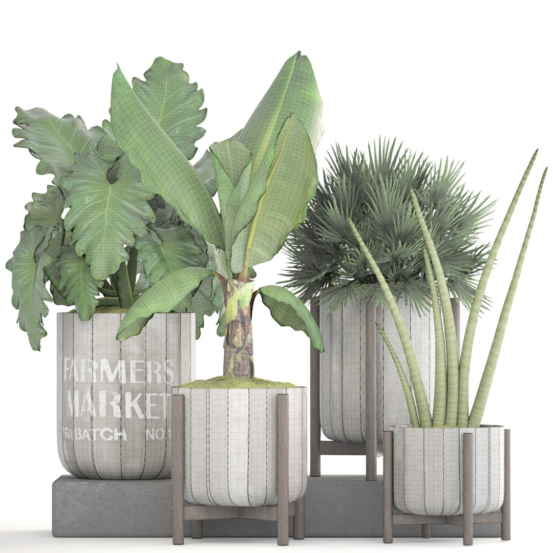 Plants Concrete Pots 3D Model - TurboSquid 1246658