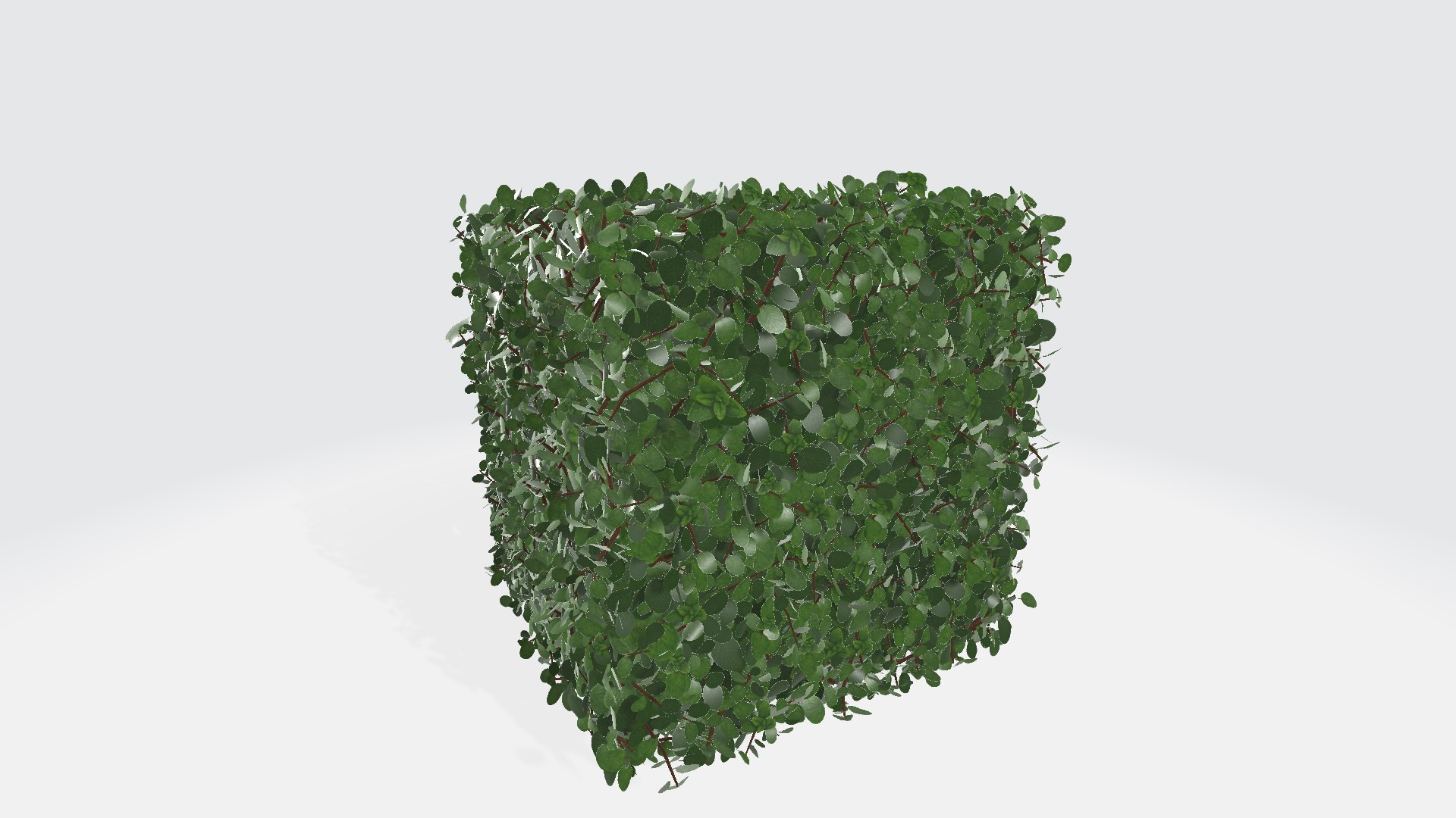 3D Topiary - Cube Model - TurboSquid 2296984