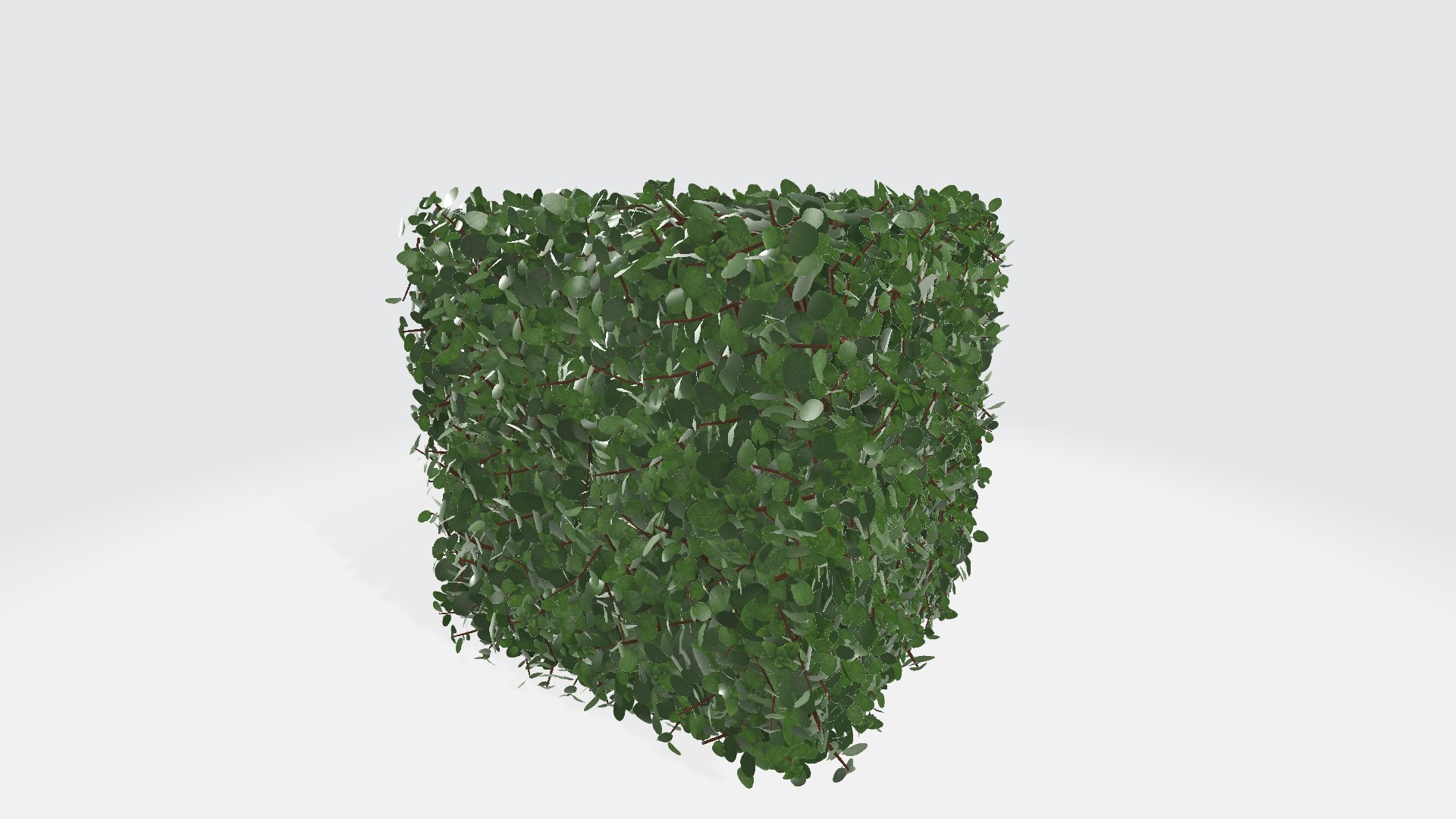 3D Topiary - Cube Model - TurboSquid 2296984