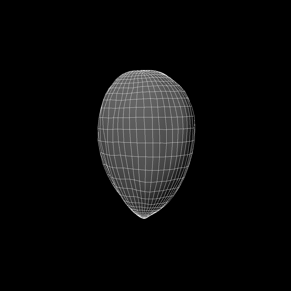 free almond kernel 3d model