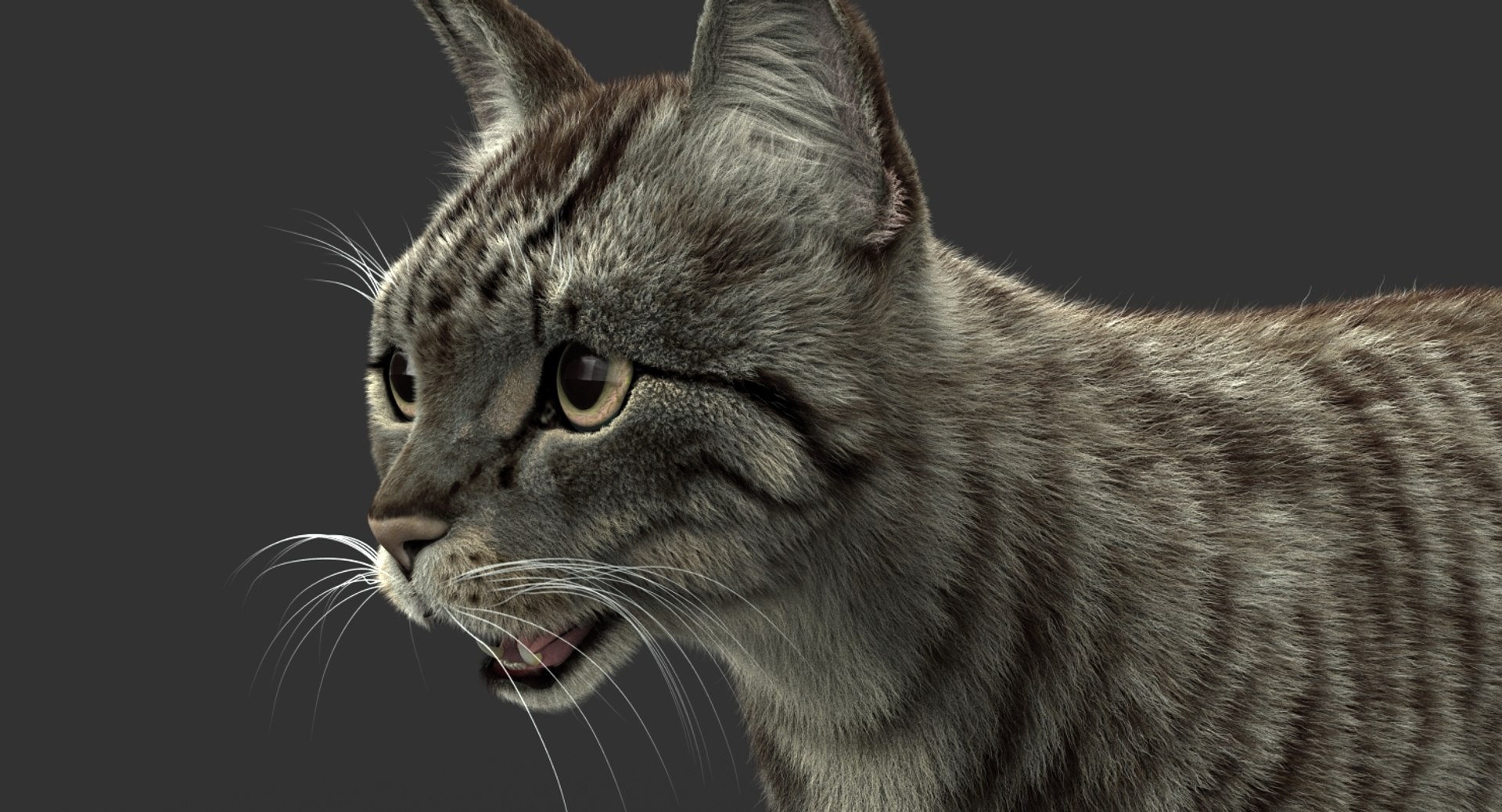 3D cat fur 2 model - TurboSquid 1286973