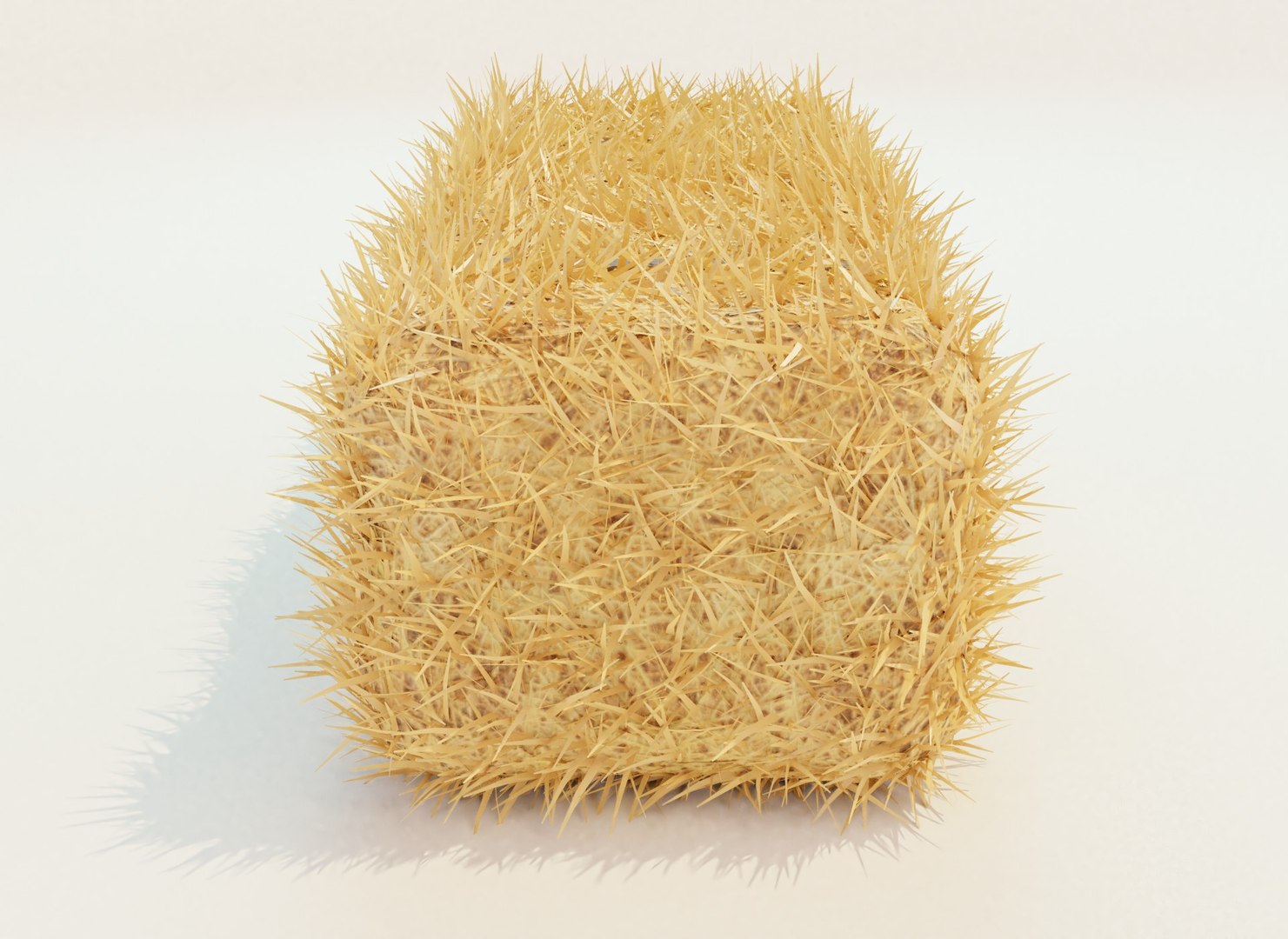 3D Square Hay Bale Model - TurboSquid 1665717