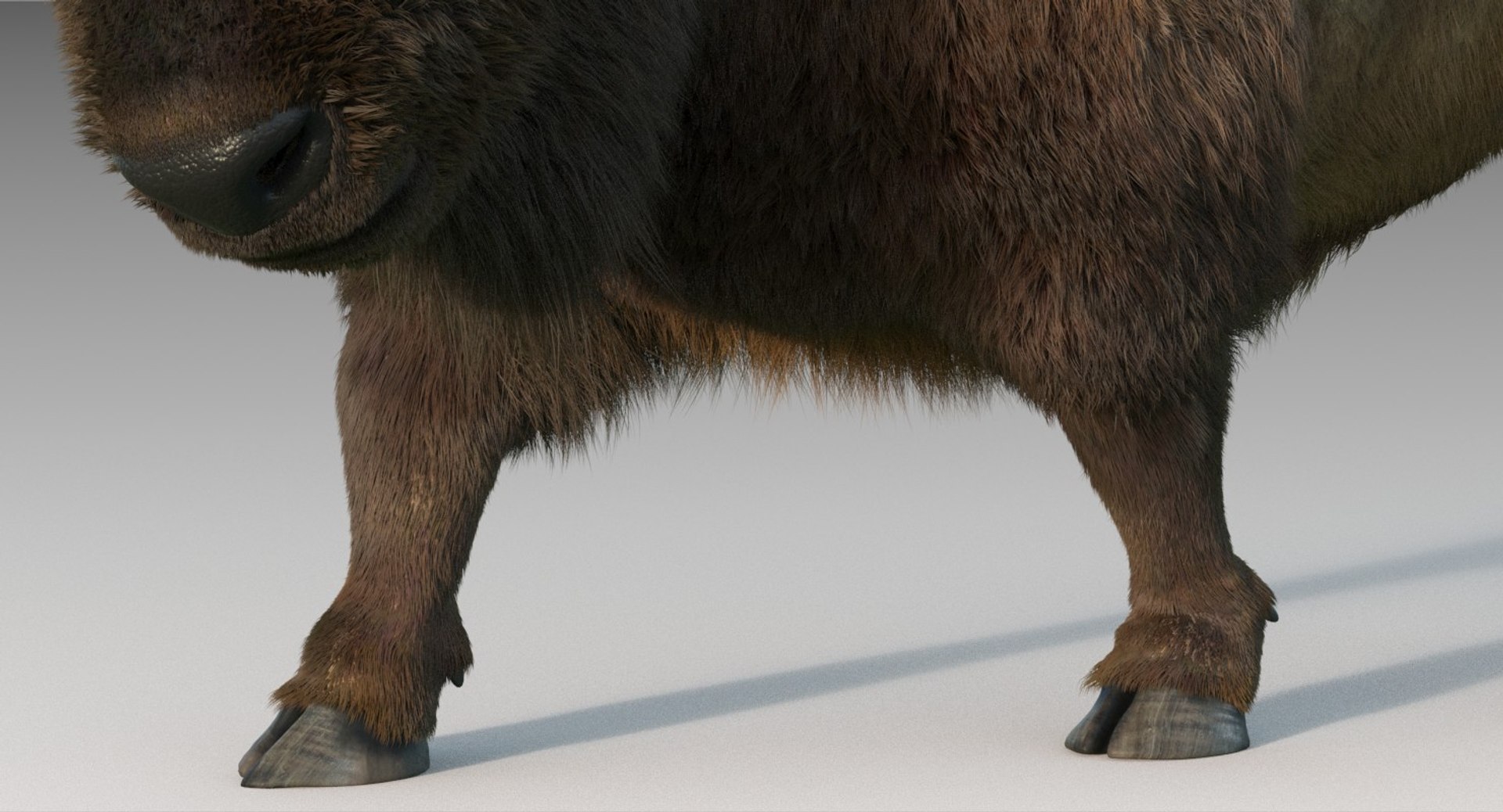 3D Bison Fur Rig - TurboSquid 1296663