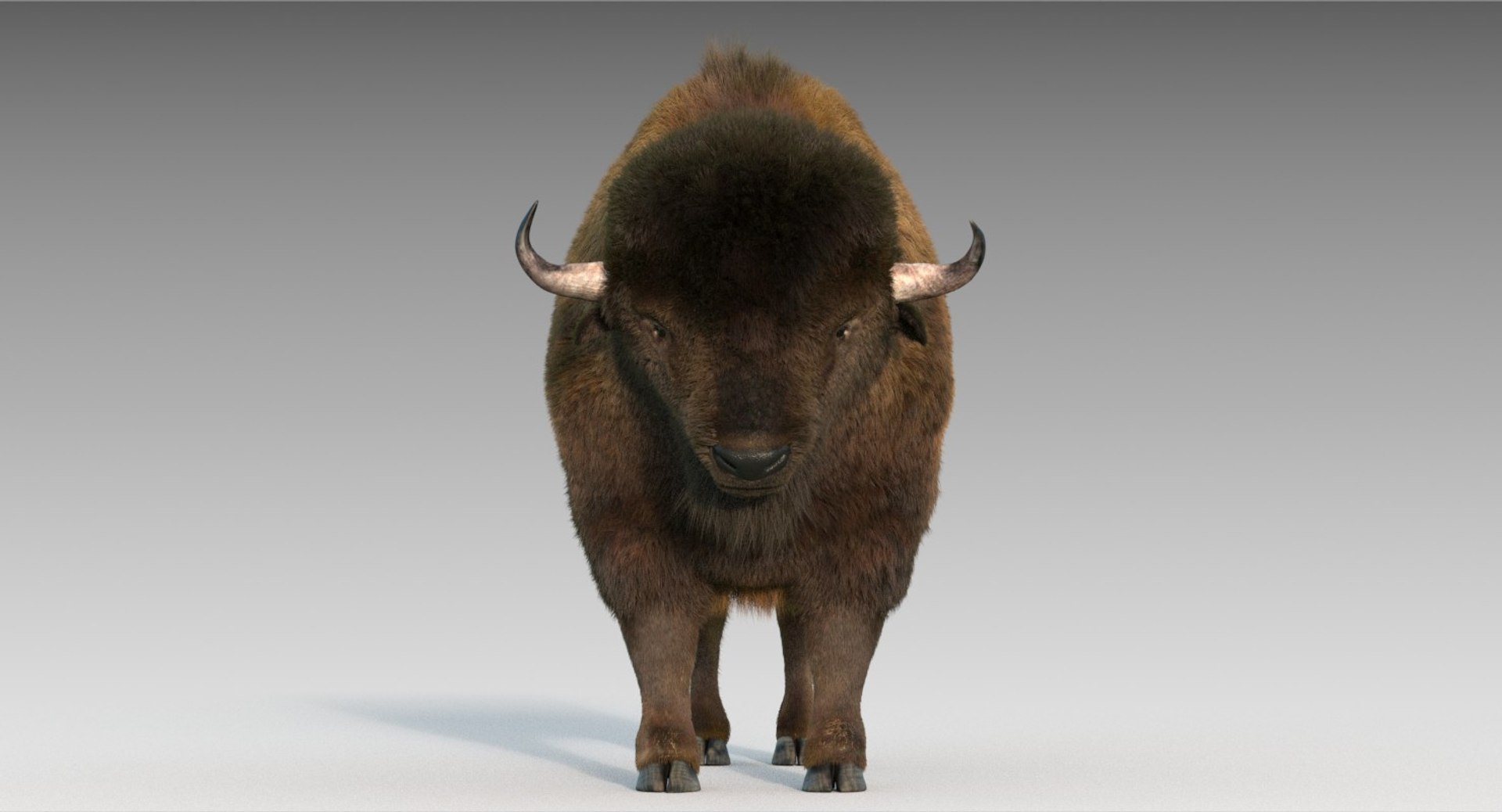 3D Bison Fur Rig - TurboSquid 1296663