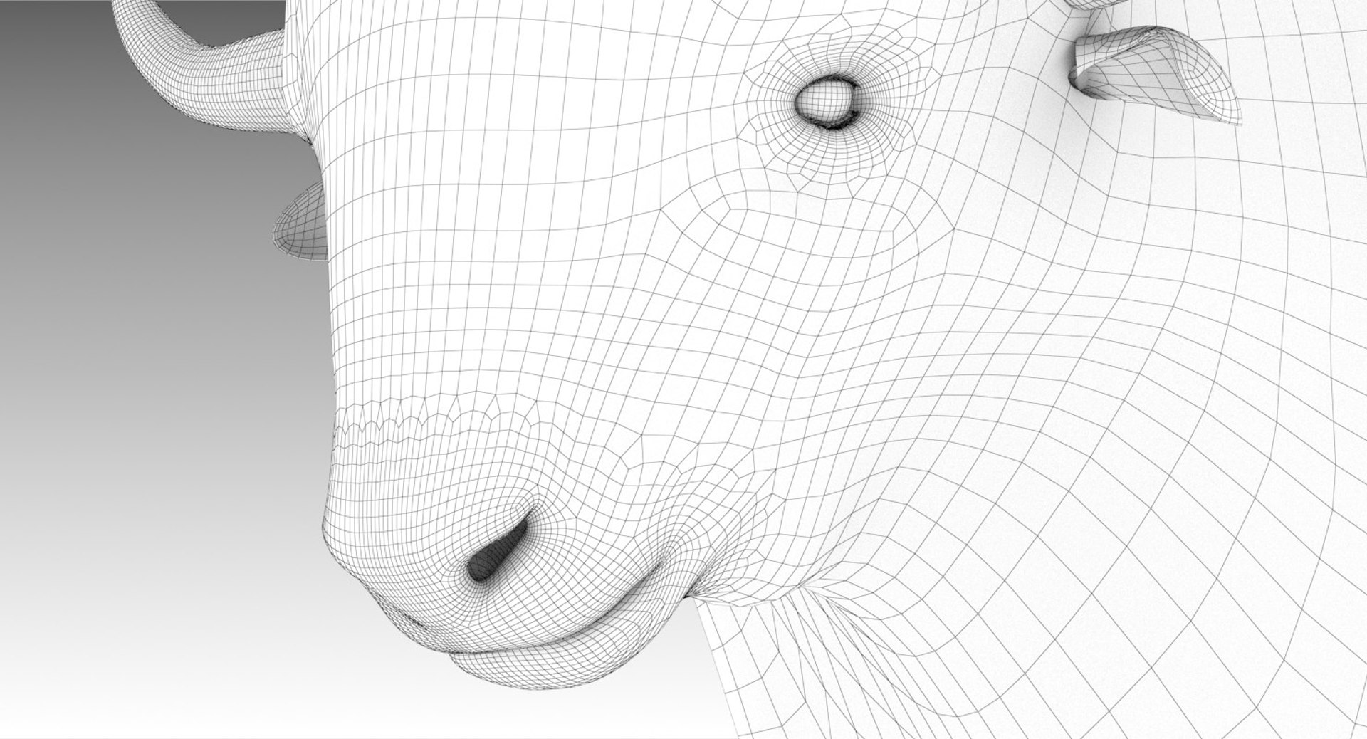 3D Bison Fur Rig - TurboSquid 1296663