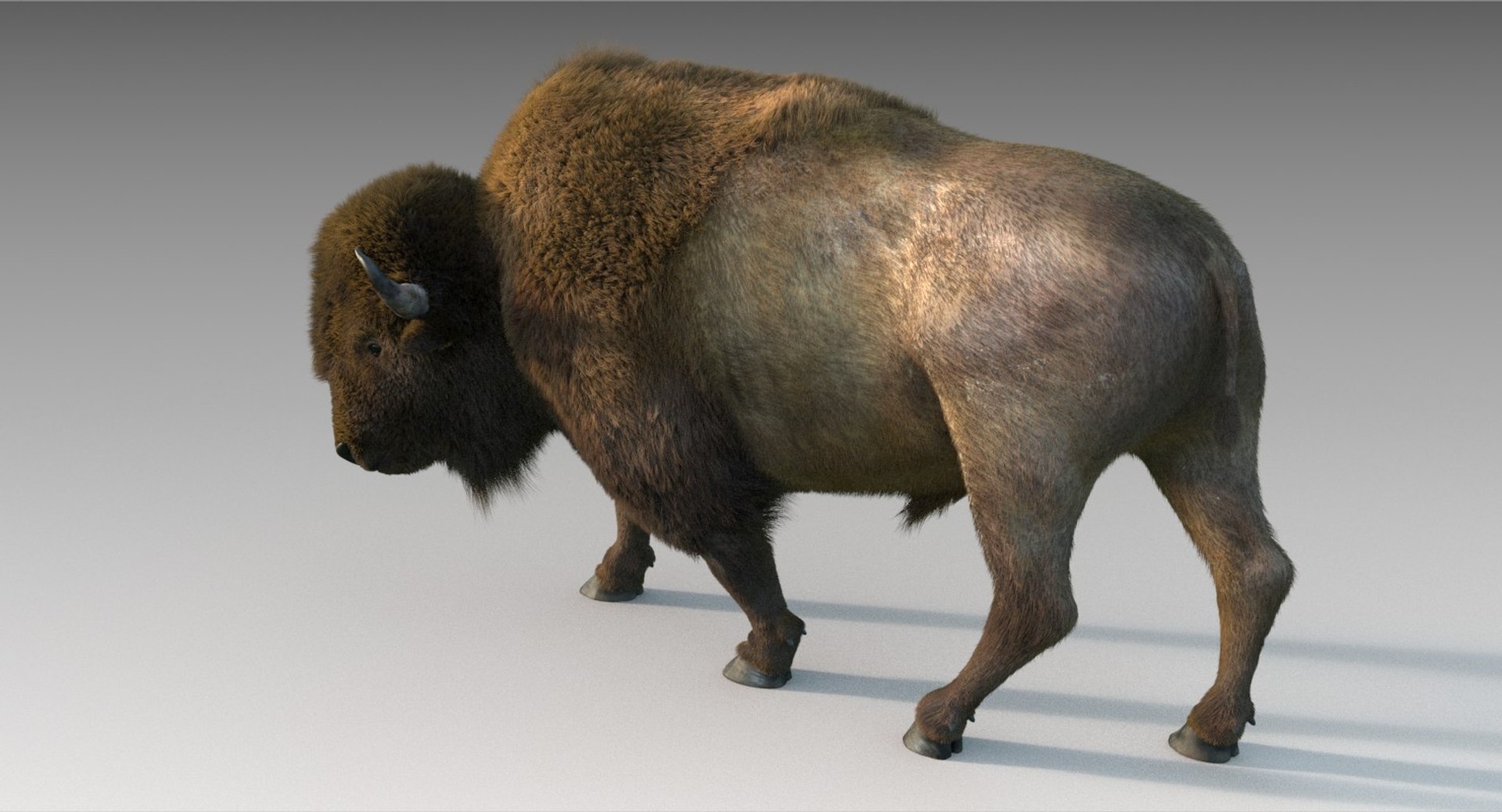 3D Bison Fur Rig - TurboSquid 1296663