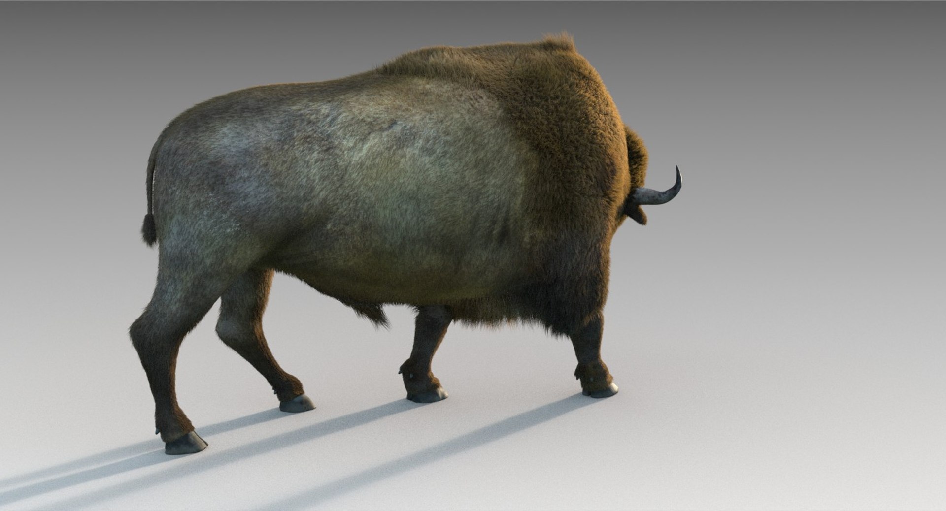 3D Bison Fur Rig - TurboSquid 1296663