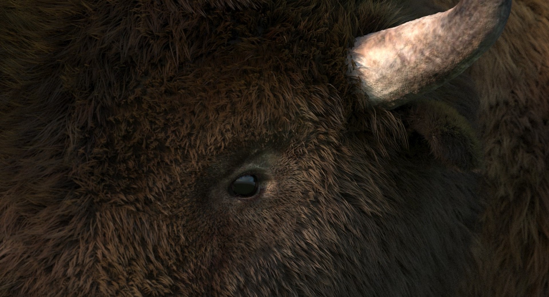 3D Bison Fur Rig - TurboSquid 1296663