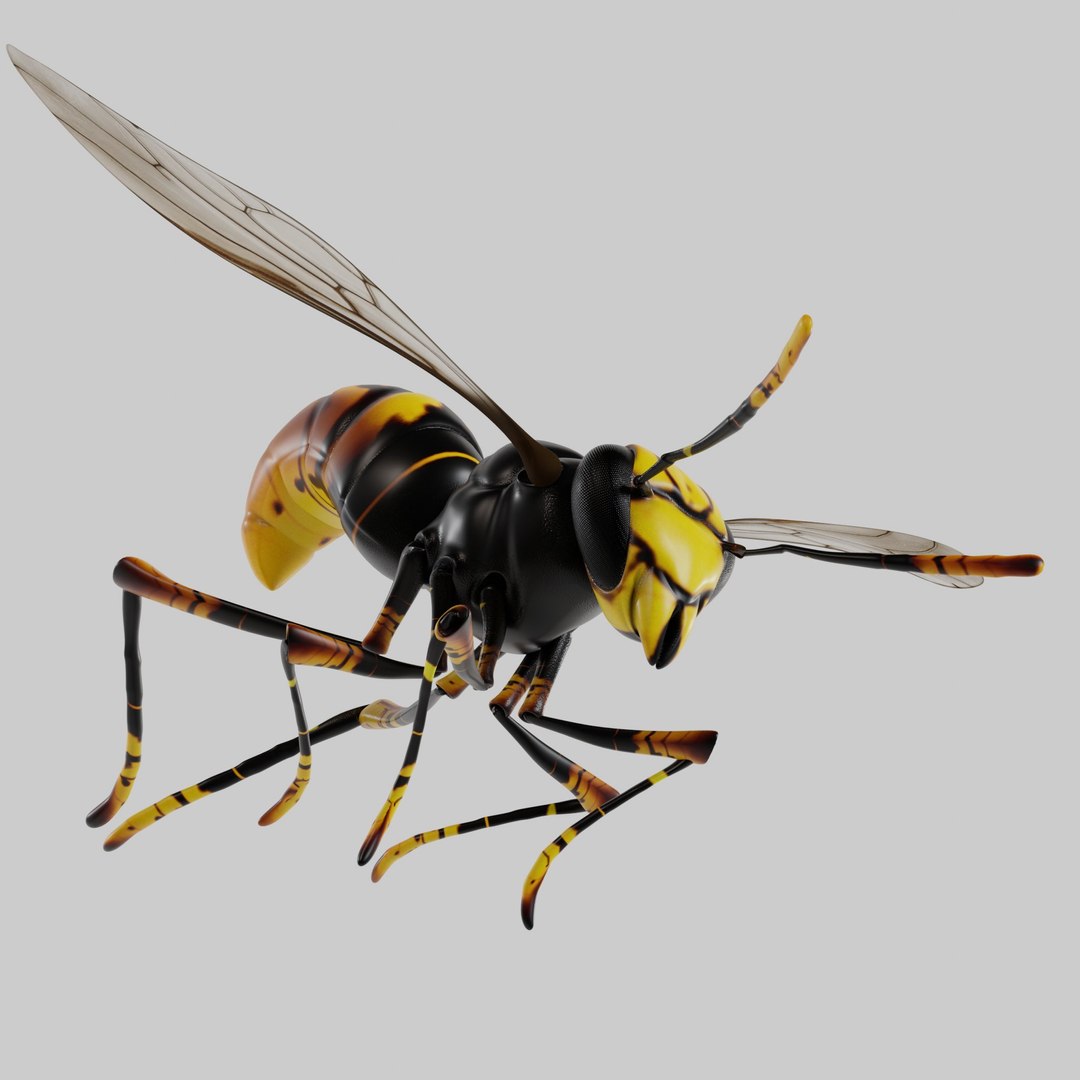 3d rigged wasp