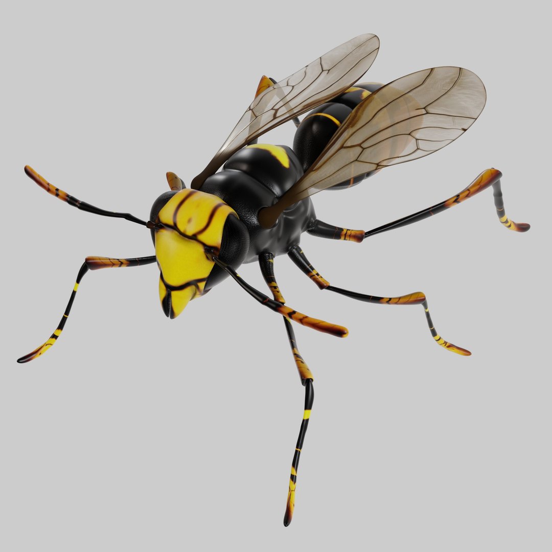 3d rigged wasp