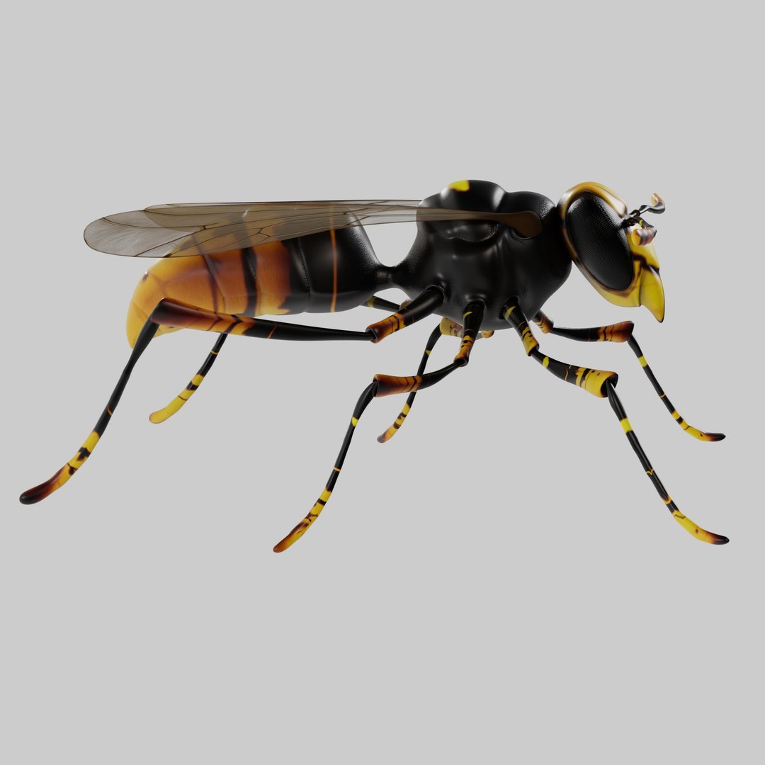 3d rigged wasp