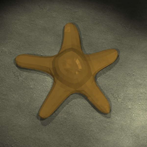 3d sea star model