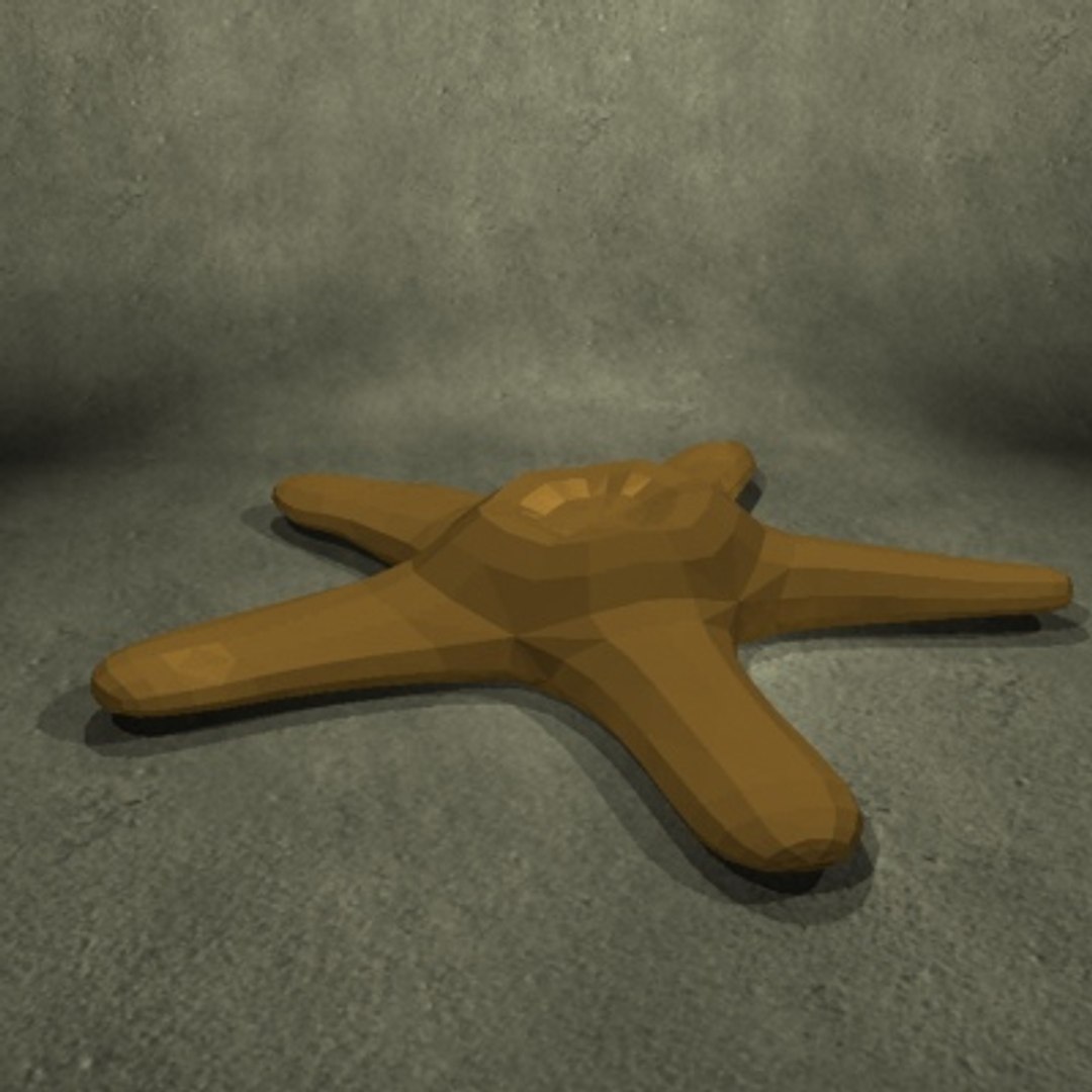 3d Sea Star Model