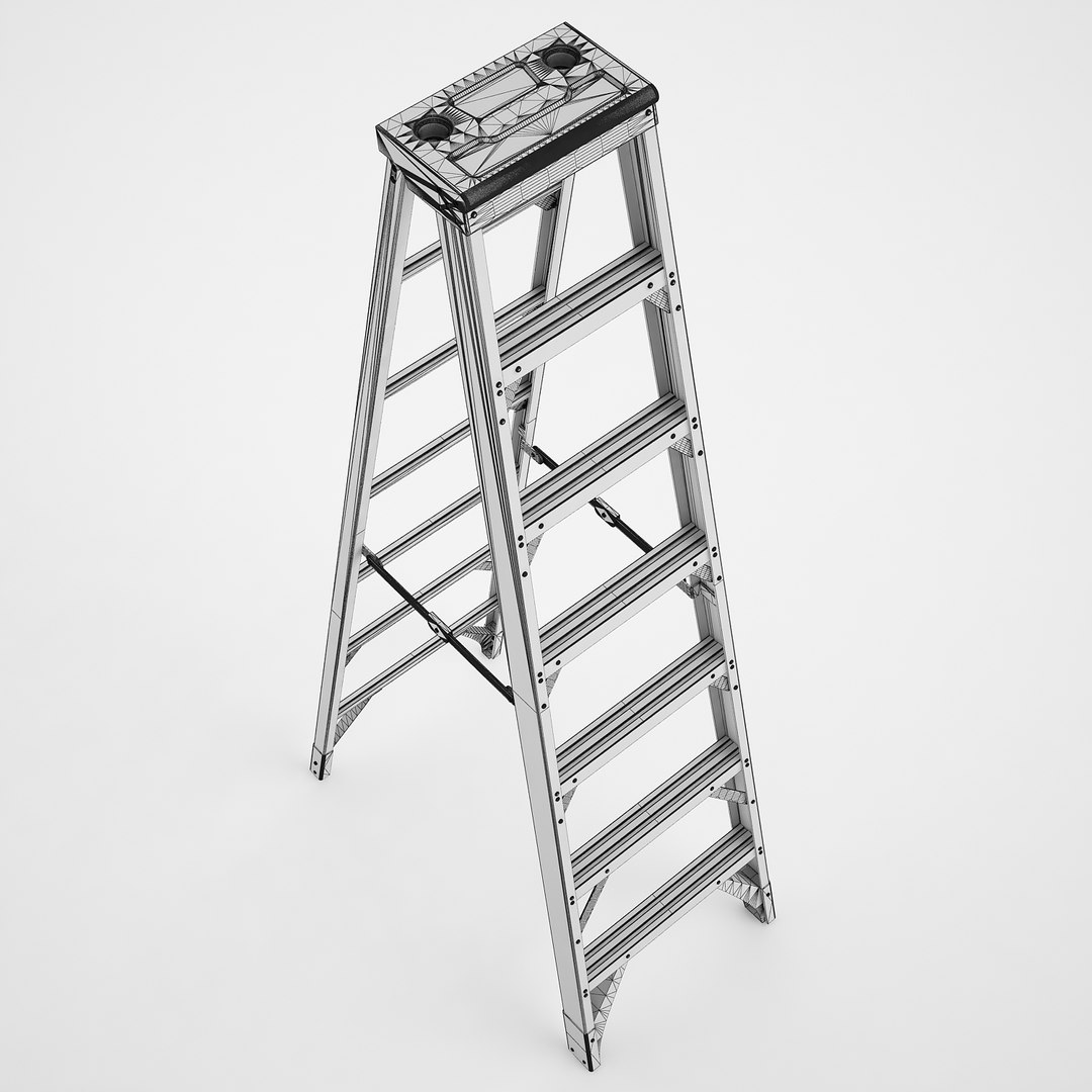 Stepladder Double Sided Max