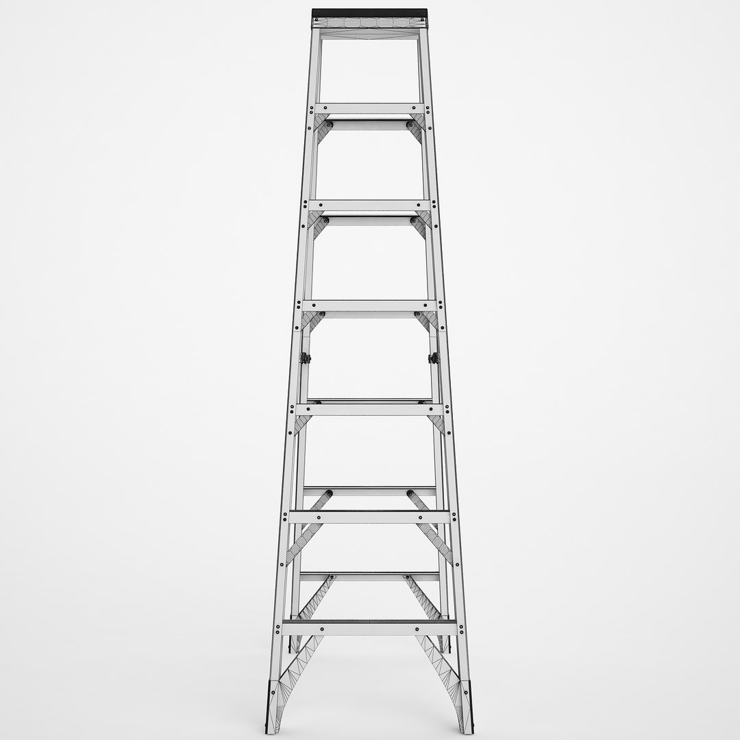 Stepladder Double Sided Max