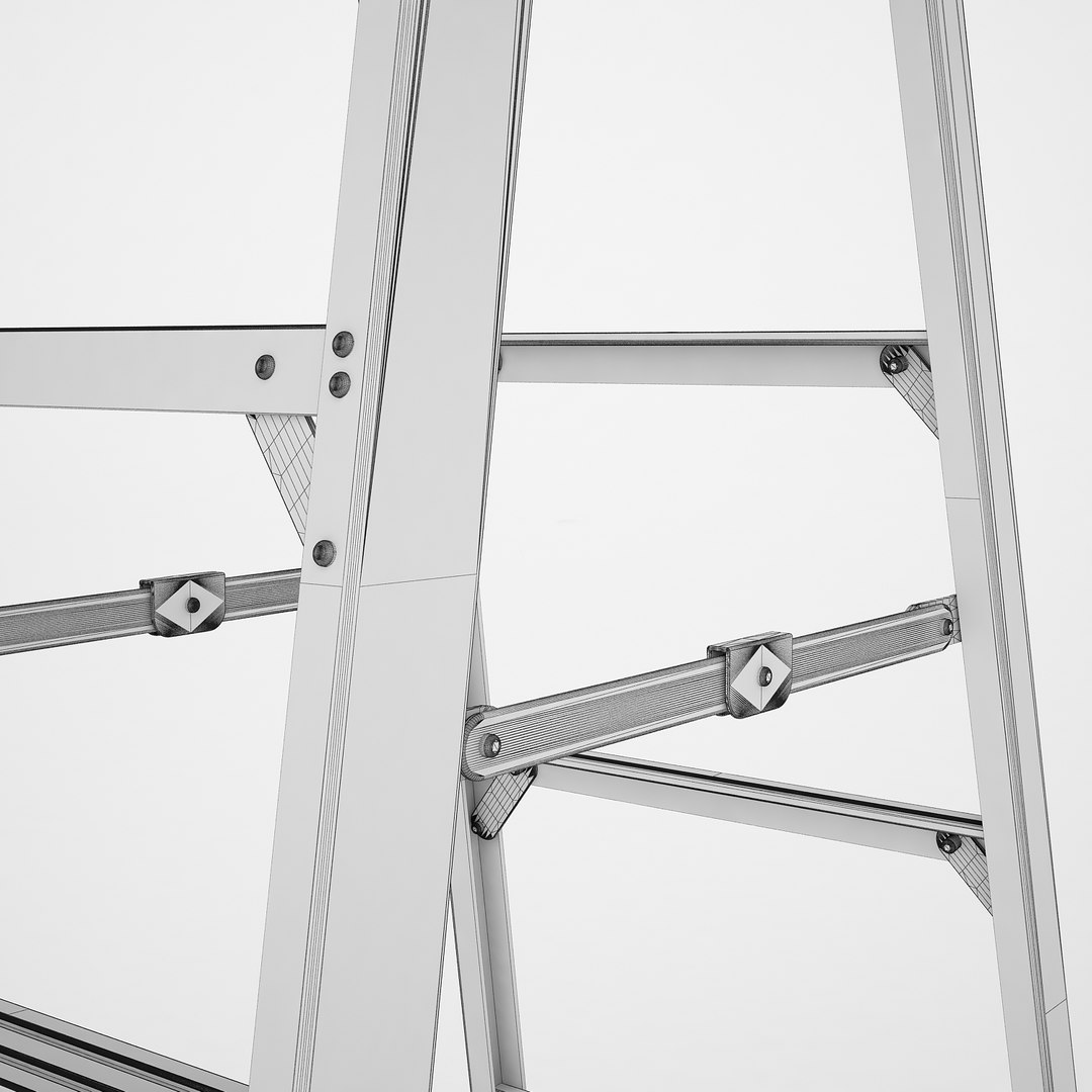 stepladder double sided max