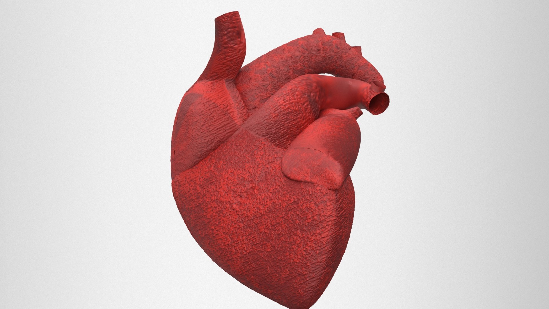 Human internal organs 3D model - TurboSquid 1681590
